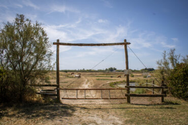 Camping Ile d'Oléron | Camping 4 étoiles au Château d'Oléron